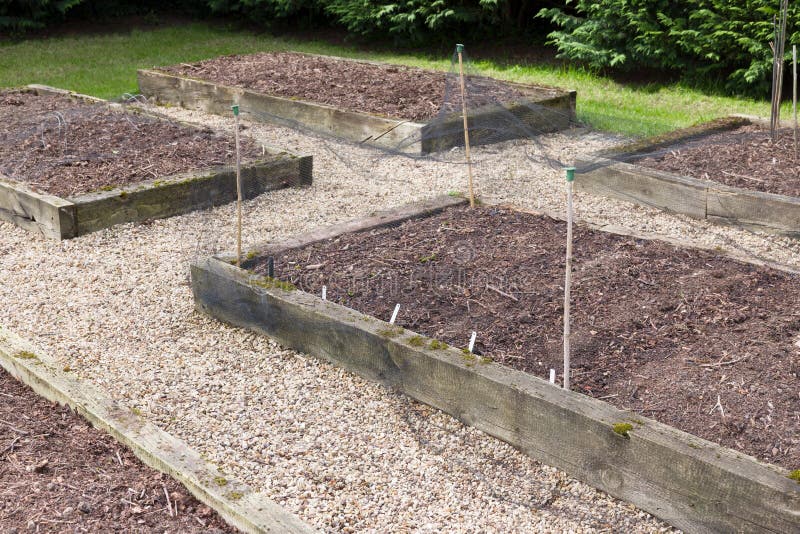 Empty Raised Vegetable Beds in Spring, UK Vegetable Garden Stock Photo ...
