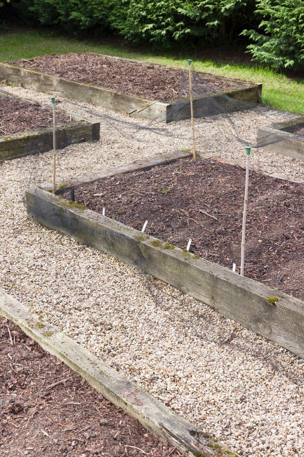 Empty Raised Vegetable Beds in Spring, UK Vegetable Garden Stock Image ...