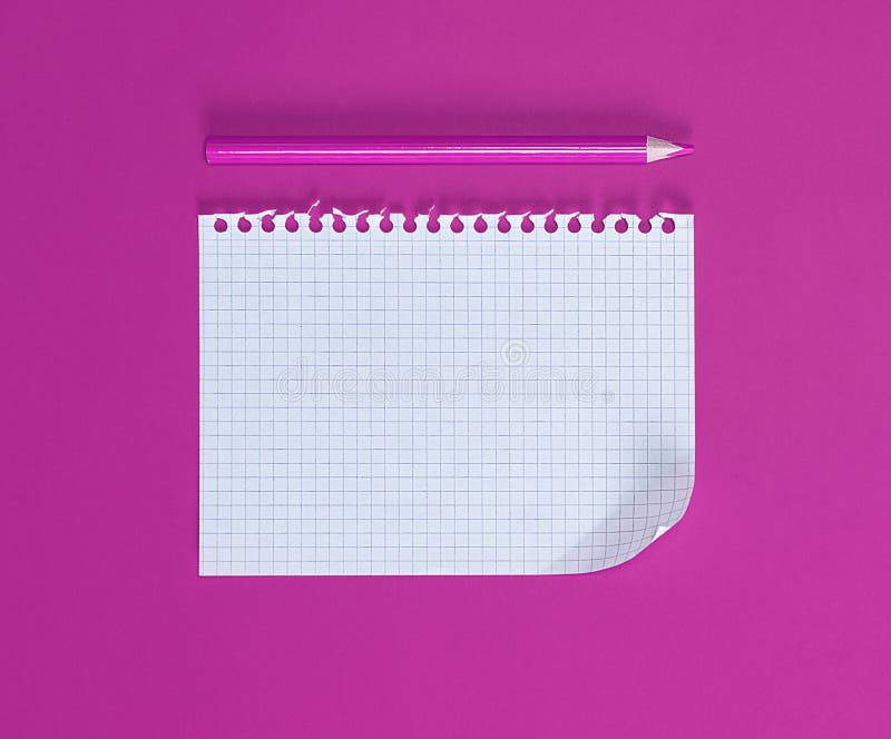 Empty Rectangular White Sheet Torn Out of Notepad Stock Photo - Image ...