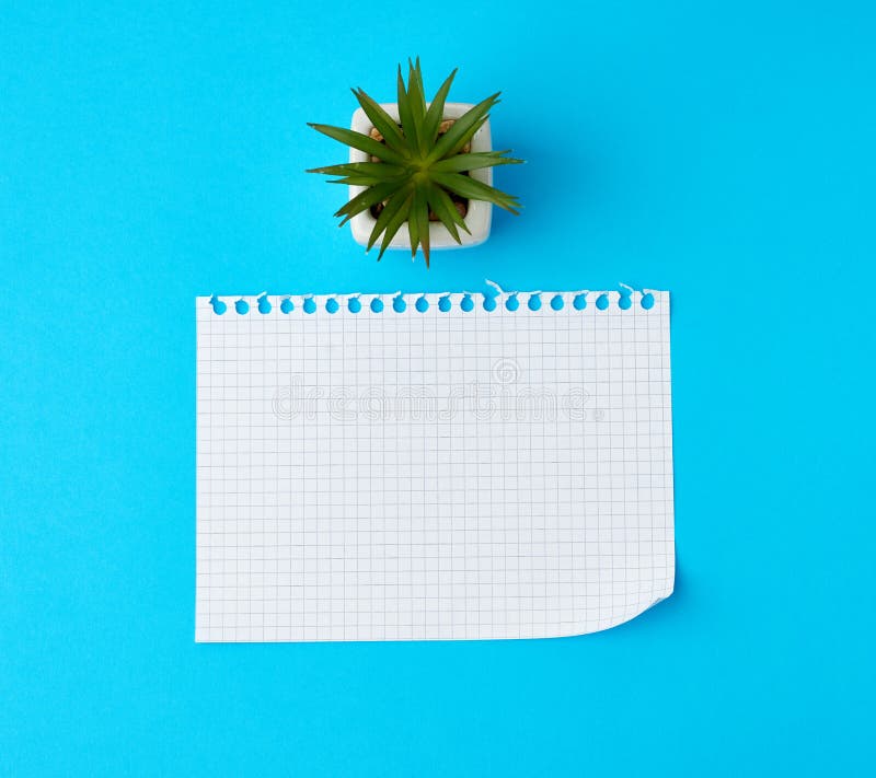 Empty Rectangular White Sheet Torn Out Notepad Pink Background Stock ...