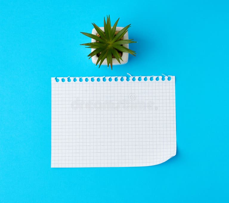 Empty Rectangular White Sheet Torn Out of Notepad on a Pink Background ...