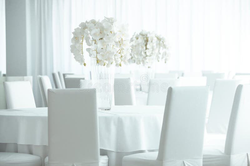 Empty Restaurant Luxury Interior. Stock Photo - Image of inside, indoor ...