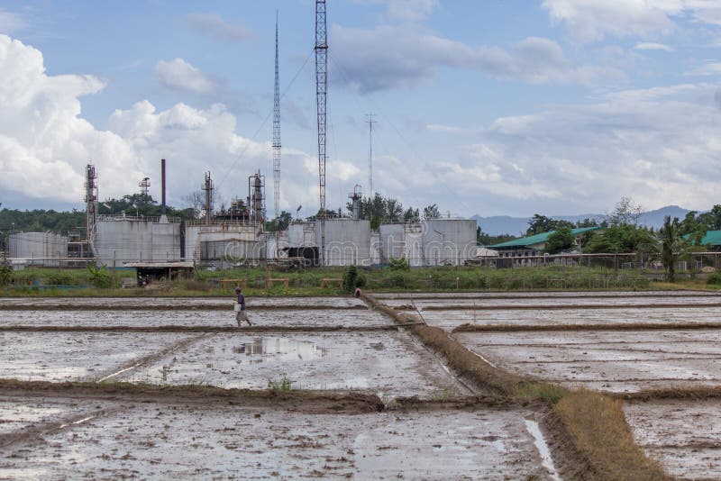 Empty Rice Fields after Harvesting Waiting To Be Planted with Factory ...