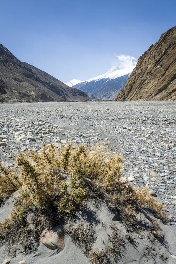Empty Riverbed in Himalaya Mountains Stock Photo - Image of expedition ...