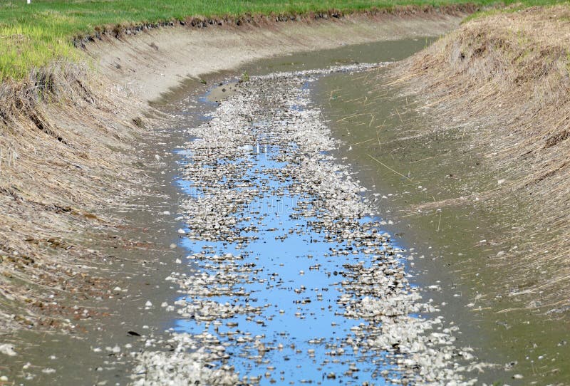 Empty Riverbed Irrigation Ditch without Water . Stock Photo - Image of ...