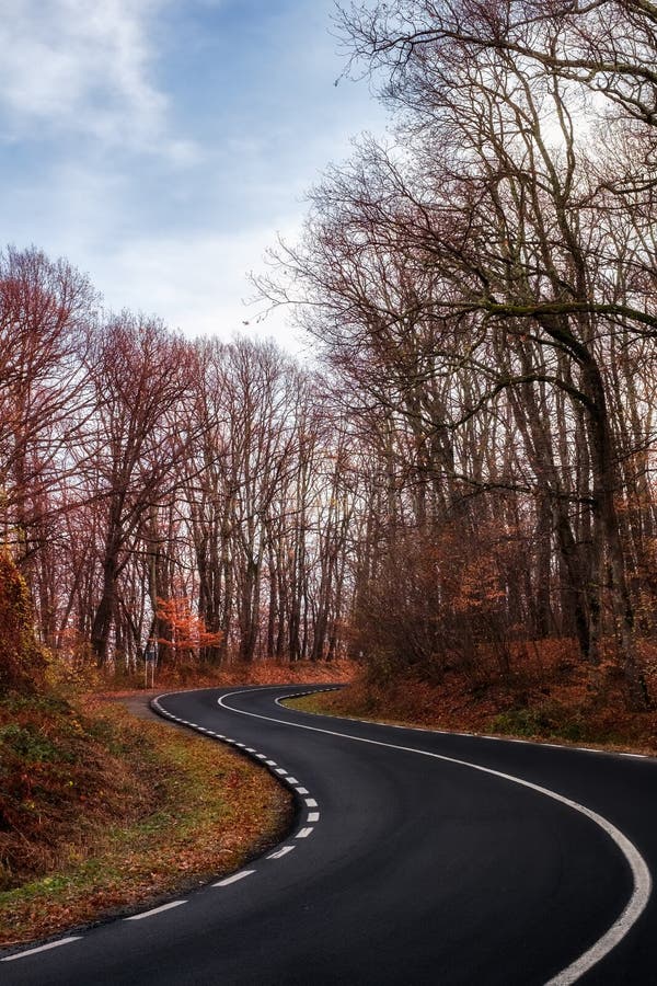 The Empty Road through the Autumn Forest Stock Photo - Image of empty ...
