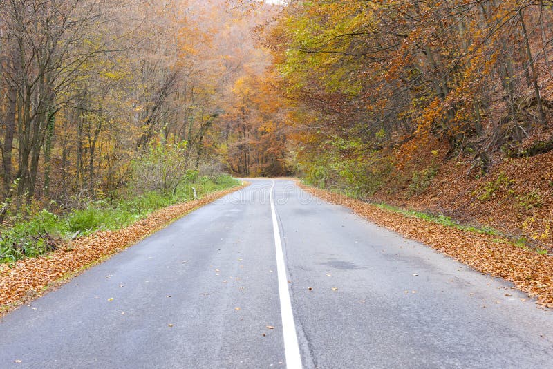 Empty Road in Autumn, Slovakia Stock Photo - Image of slovakia ...