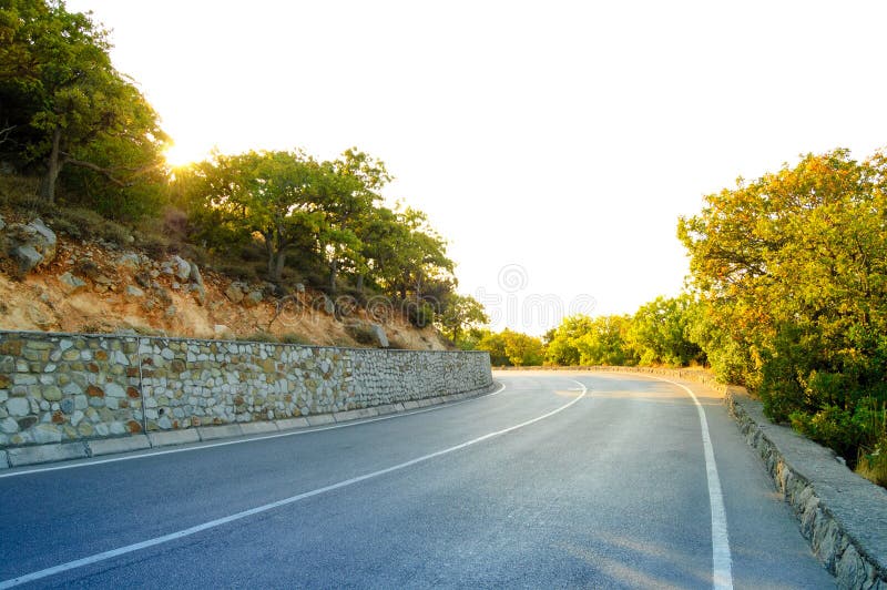 Empty Road in Beautiful Green Summer Forest Stock Photo - Image of ...