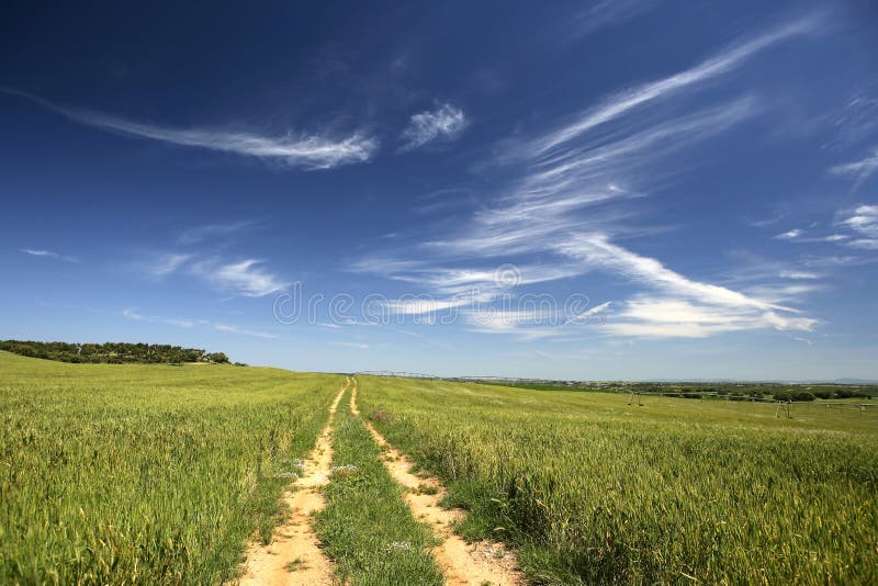 Empty Road in Beautiful Rural Landscape Stock Photo - Image of cloud ...