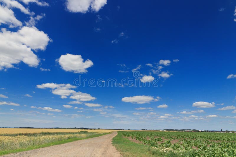 119 Path Divides Stock Photos - Free & Royalty-Free Stock Photos from ...