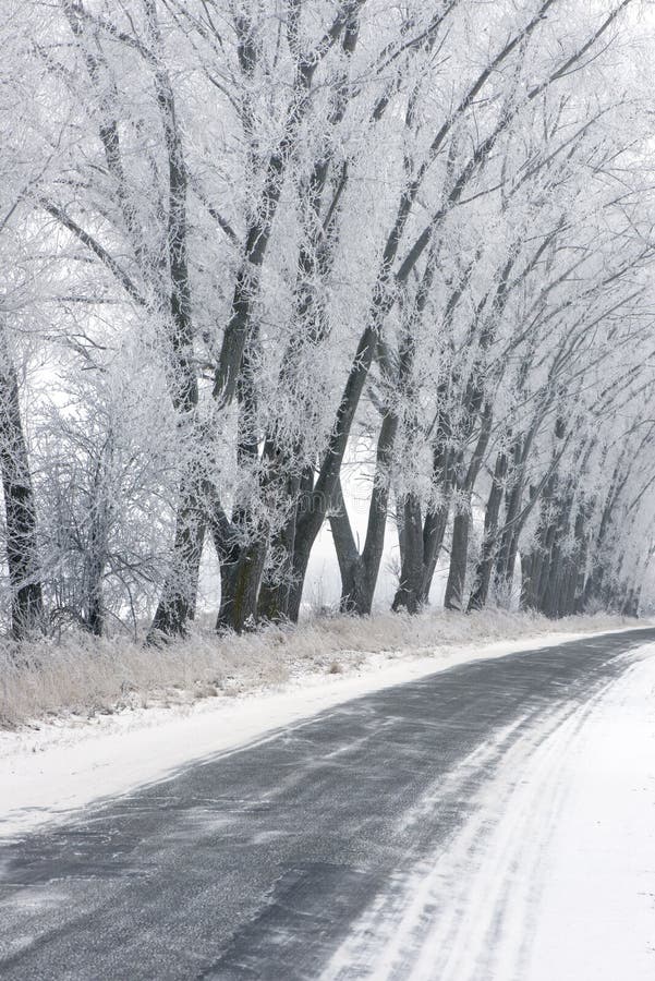 Empty Road in the Cold Winter Stock Photo - Image of scene, empty ...
