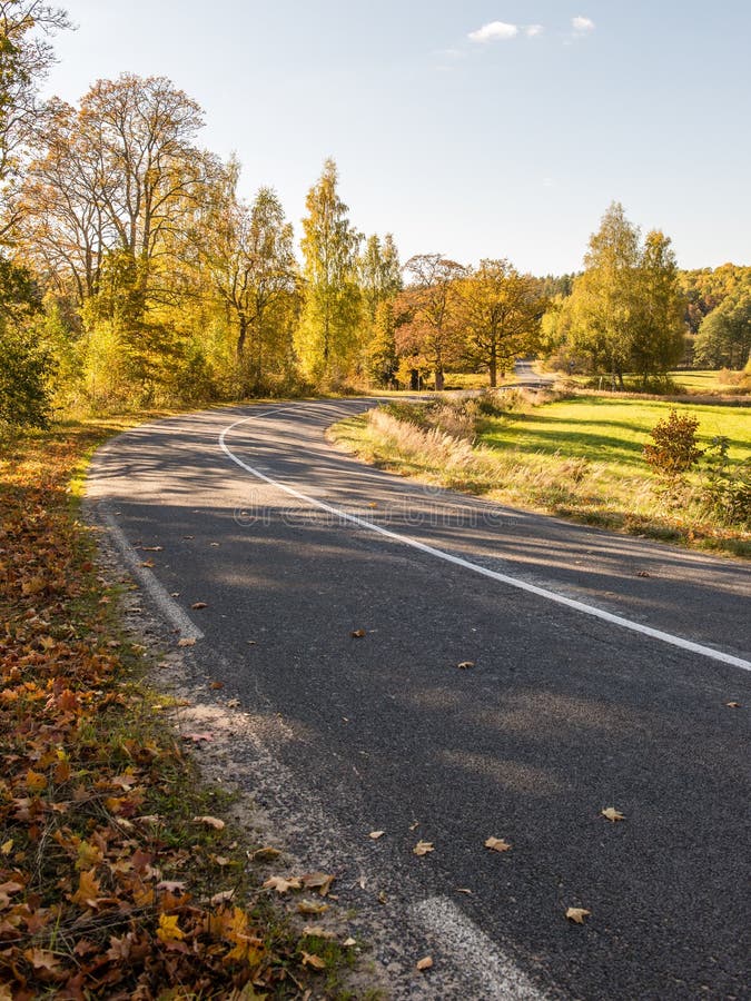 Empty Road in the Countryside in Autumn Stock Photo - Image of latvia ...