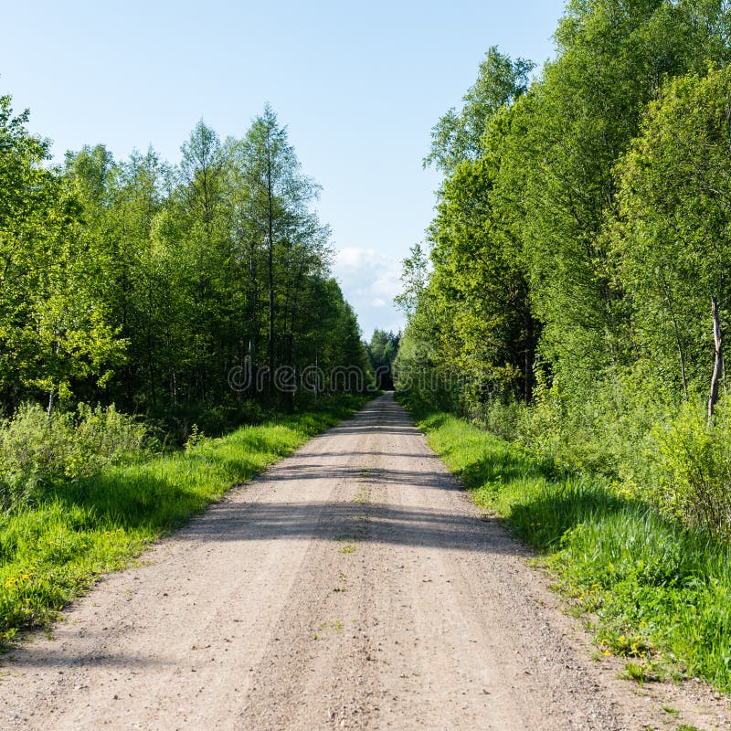 Empty Road in the Countryside Stock Photo - Image of trees, trails ...