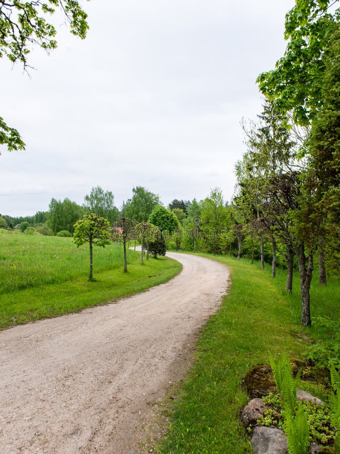 Empty Road in the Countryside Stock Photo - Image of gravel, trails ...