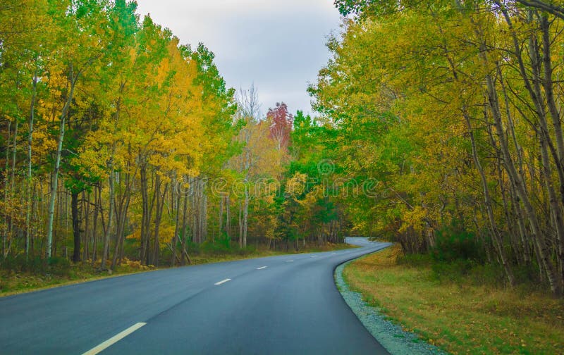 The empty road stock photo. Image of empty, beauty, road - 60956482