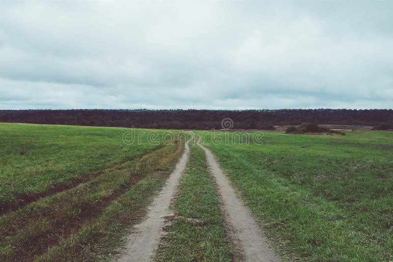 Empty road in field stock photo. Image of country, field - 45724262