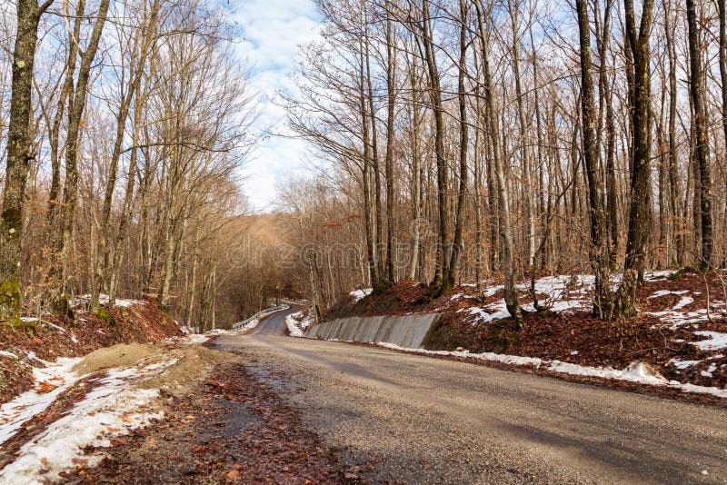 Empty Road in the Forest in a Beautiful Day, Landscape Stock Image ...