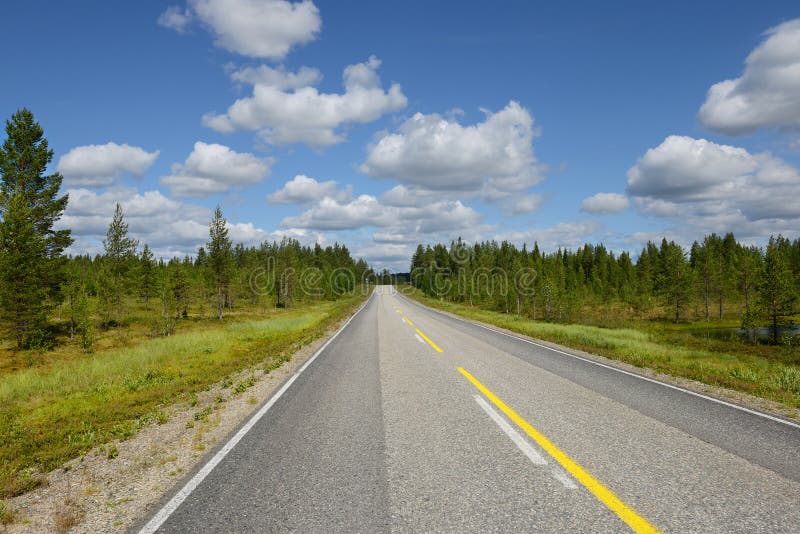 Empty road in forest stock photo. Image of country, motion - 36225014