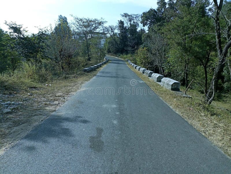 Empty Road in Forest Himachal Pradesh India 021 Stock Image - Image of ...