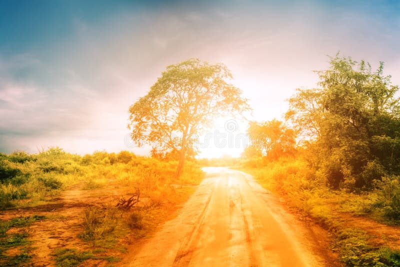 Empty Rural Road Going through Prairie Under Cloudy Sky Stock Photo ...