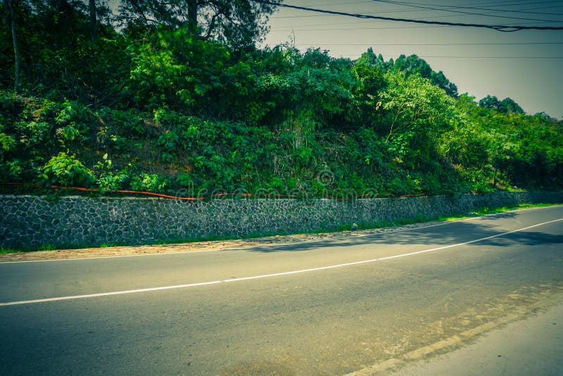 Empty Road with Green Bush and Small Tree on the Side in Puncak Bogor ...