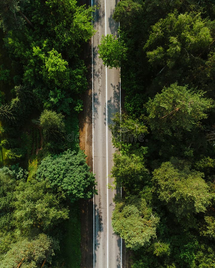 Empty Road in Green Forest. Aerial Drone Top View from Above Stock ...