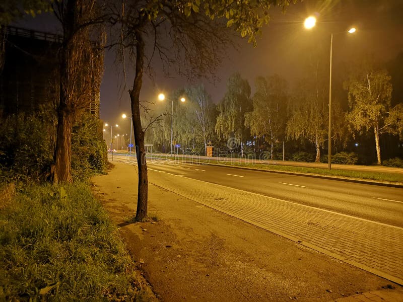 Empty road stock photo. Image of night, road, late, empty - 128973772