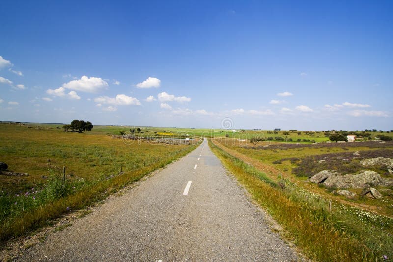 Empty road in landscape stock image. Image of outdoors - 2601657
