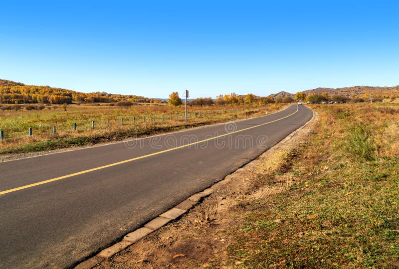 Empty Road Leading through Fall Foliage Forest in the Autumn Stock ...