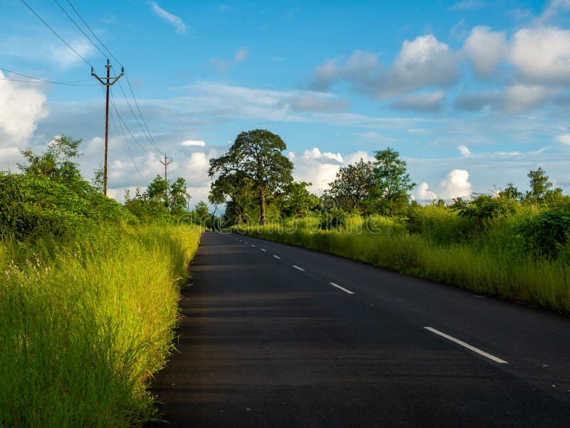 Empty Road with Lush Green Grass and Trees. Rural India Stock Photo ...