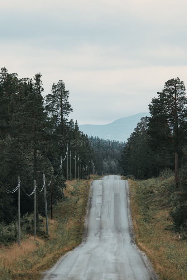 There is an Empty Road Going through the Forest in the Rain Stock Image ...