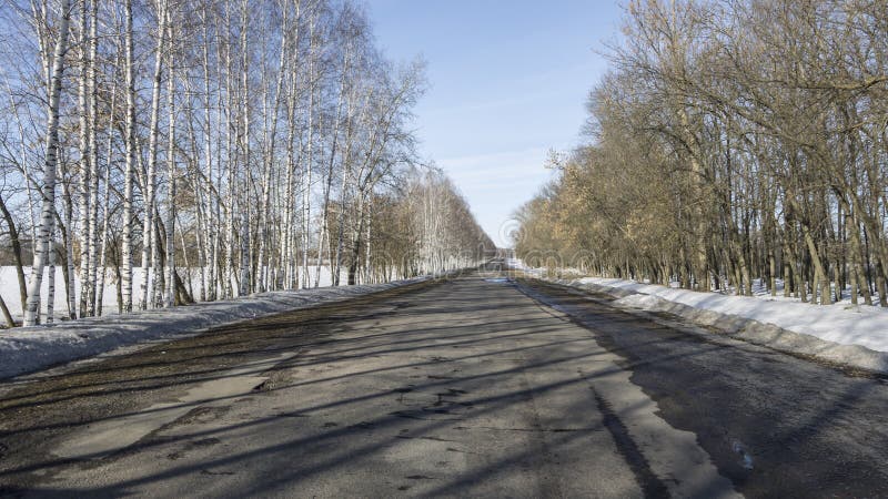 Empty Road in the Rays of the Spring Sun Stock Photo - Image of empty ...