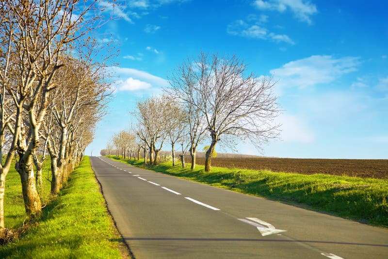 Road scenery stock image. Image of highway, greenery, destination - 5598007
