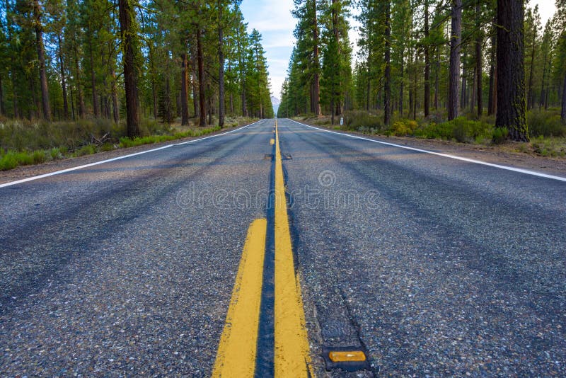 Empty road stock image. Image of empty, calmness, yellow - 124450943