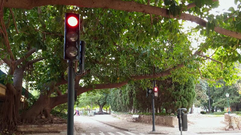 Empty Road Stretching through a Desert. AI Generated Stock Footage ...