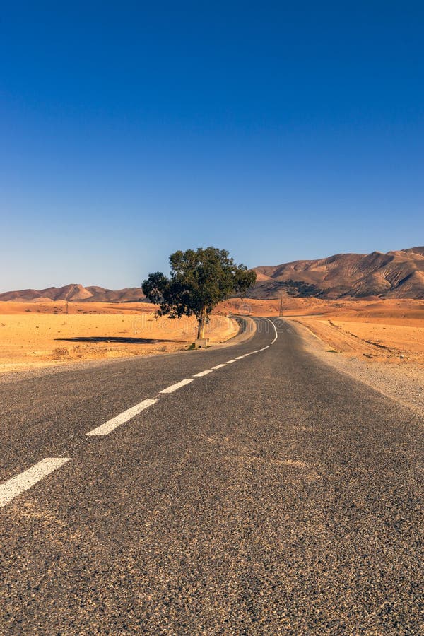An Empty Road with a Tree on the Left Side. Morocco Stock Photo - Image ...
