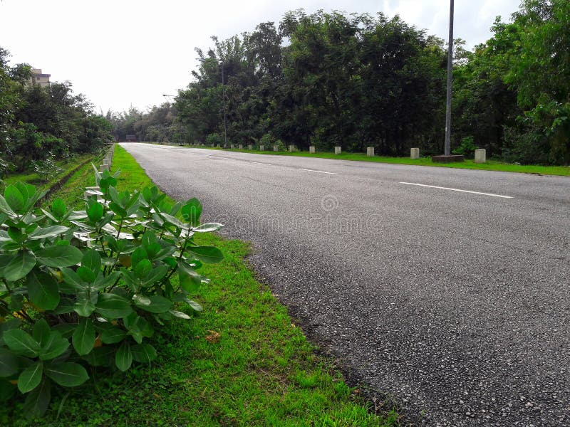 Empty Road with Trees at the Background. Stock Image - Image of highway ...