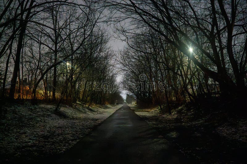 Empty Road between Trees at Night in Winter Stock Image - Image of ...