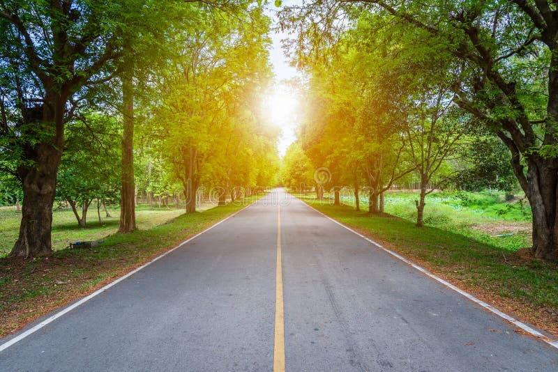 Empty Road with Trees and Sunlight Stock Image - Image of freedom ...