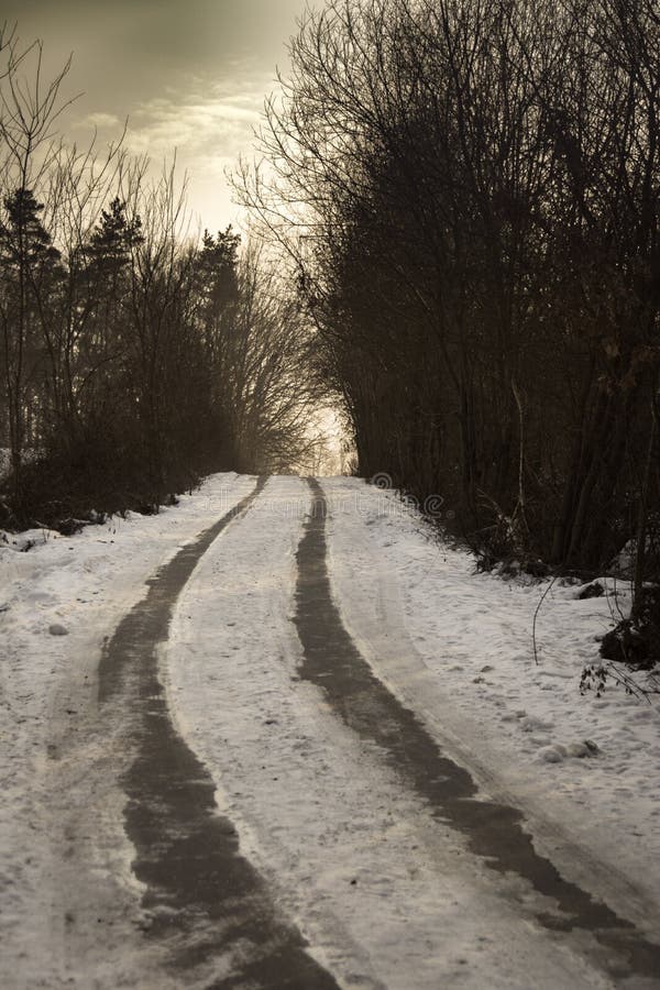 Empty Road in the Winter Forest. in Sepia Colors. Stock Image - Image ...