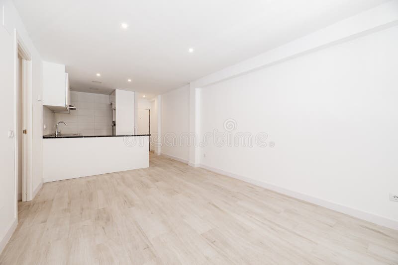 Empty Room Has Light Wood Floor, Plain White Painted Wall, Island with ...