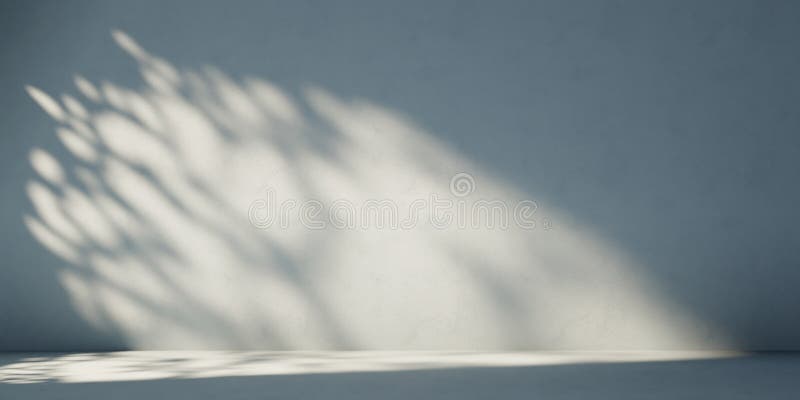 Empty Room with Sun Light and Shadow on Wall. Abstract Background ...