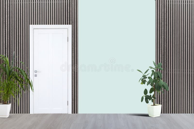 Empty room and white door. stock photo. Image of architecture - 260357128