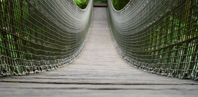 Empty Rope Bridge in the Forest. Stock Image - Image of travel, road ...