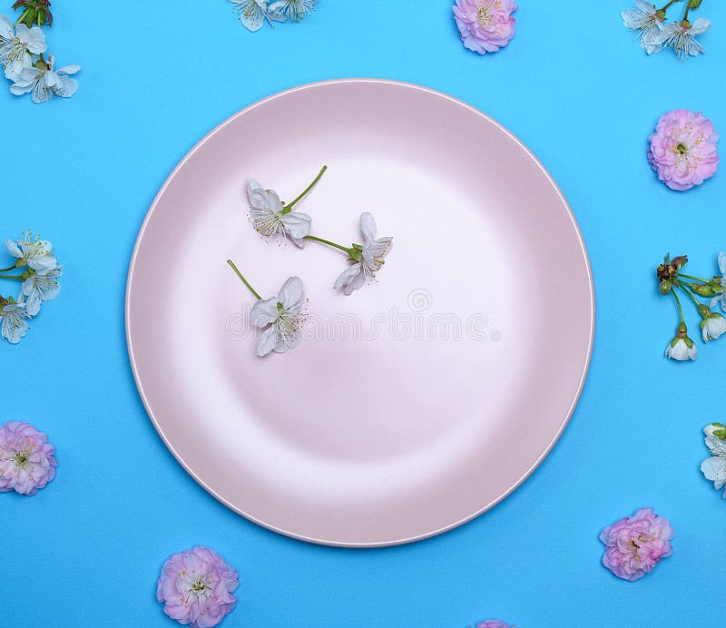 Ceramic Pink Flower Pot on Empty Black Chalk Board Background Stock ...