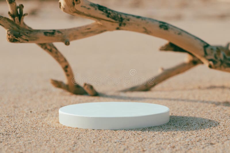 Empty Round White Platform Podium Dry Tree Twig Beach Stock Photos ...