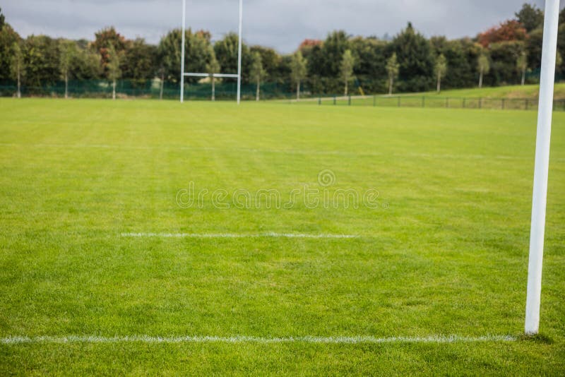 Empty rugby field with stock image. Image of grass, open - 9455081