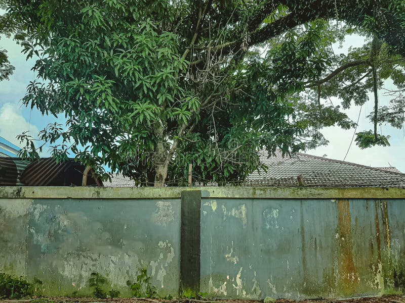 Empty Rural Area with Greenery and Wall Barrier Stock Image - Image of ...