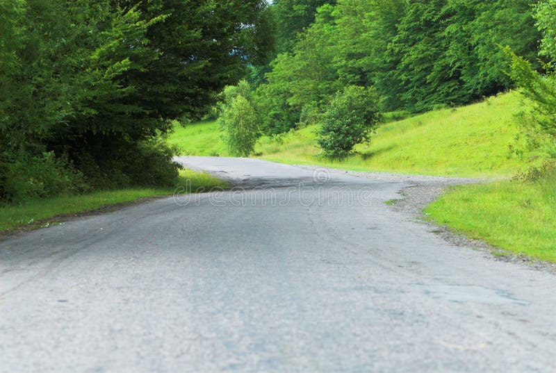 Empty rural road stock photo. Image of summer, trees, road - 7693134