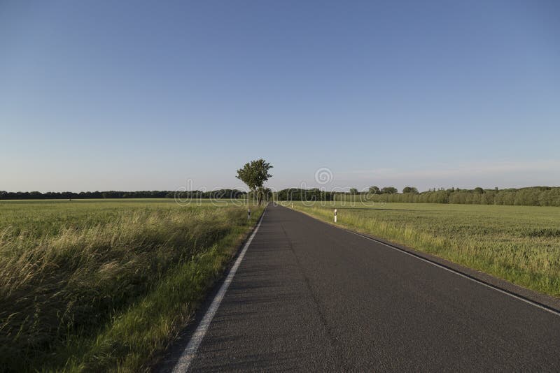 Empty Rural Road on a Summer Evening Stock Photo - Image of sunlight ...